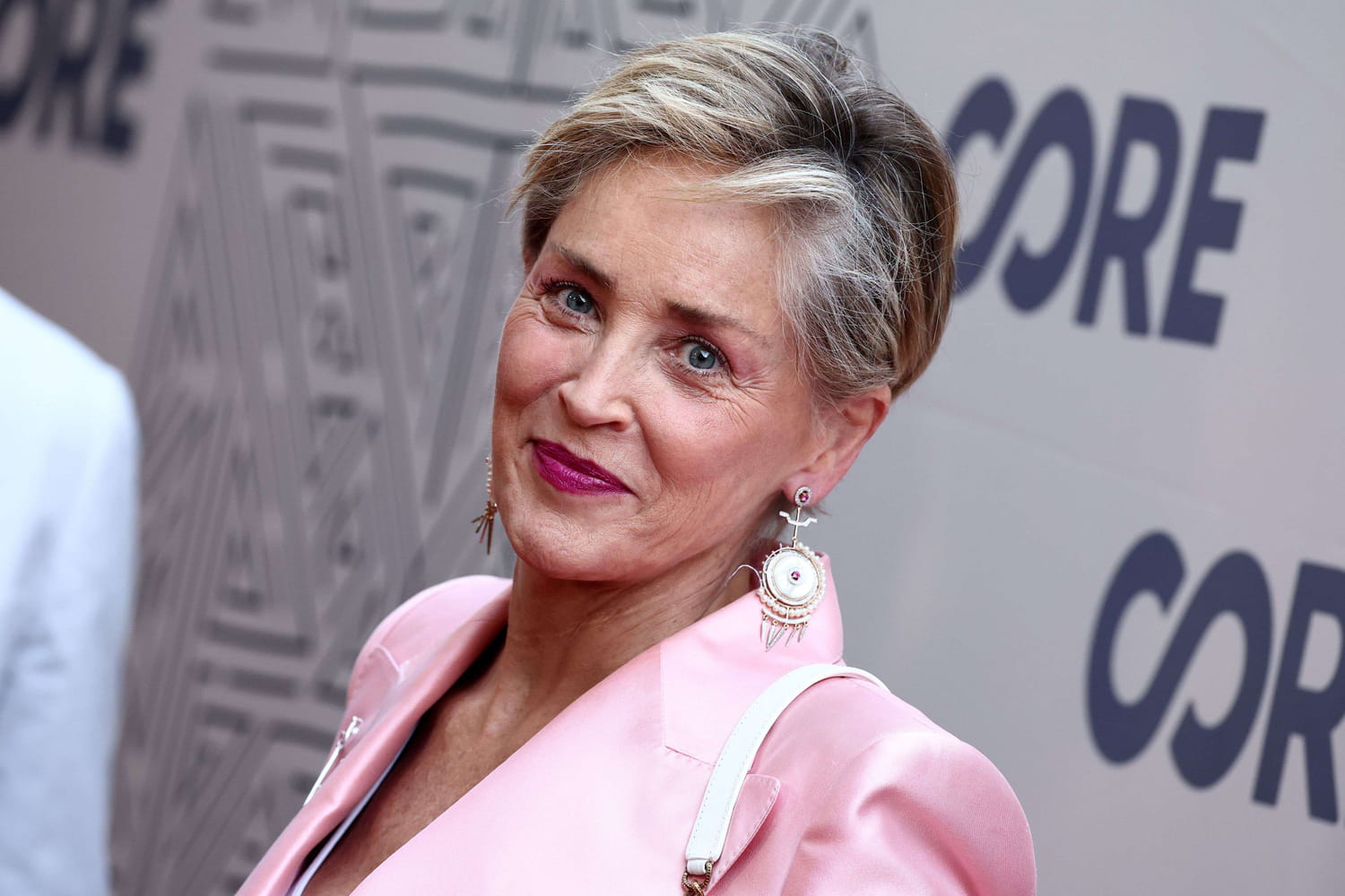 "Ça m'a brisé le cœur" : Sharon Stone (qui fête ses 65 ans) dévoile qu ...