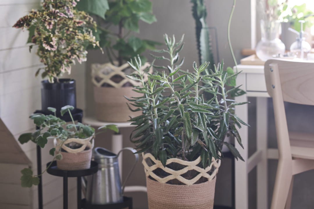 Cache-pot IKEA