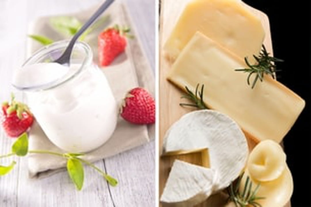 Yaourt ou morceau de fromage