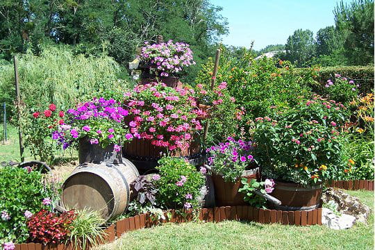 Un jardin très coloré