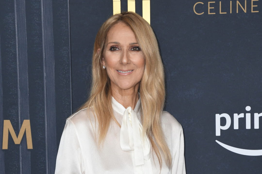 Celine Dion confirme l'efficacité du total look noir sur cette photo de ...