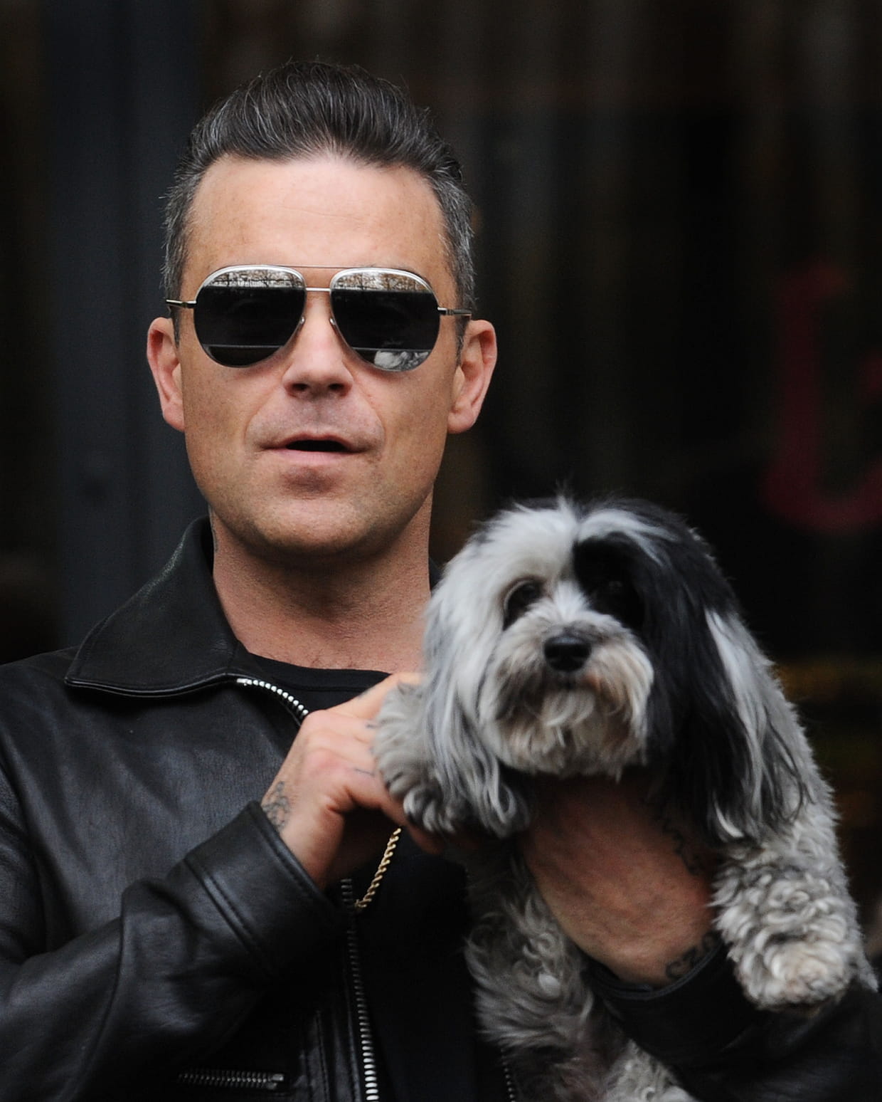 Robbie Williams nous présente son chien