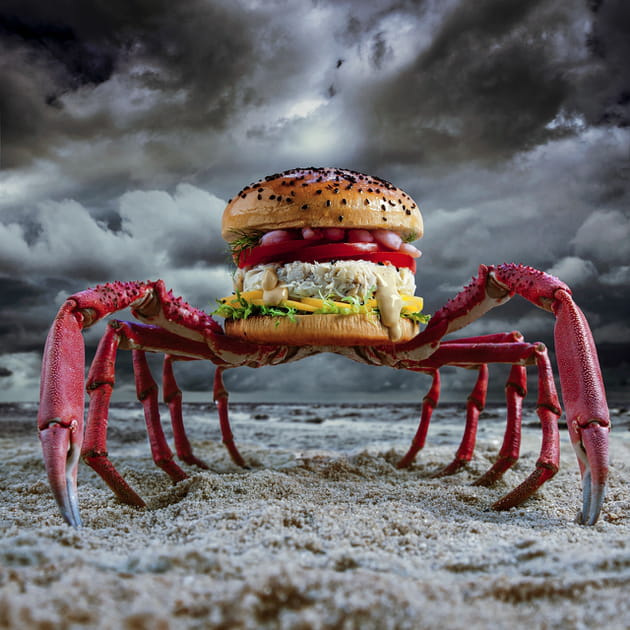 Crabzilla : on en pince