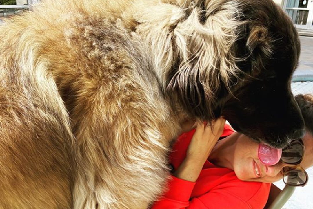 Faustine Bollaert : Nessie, un poil envahissante