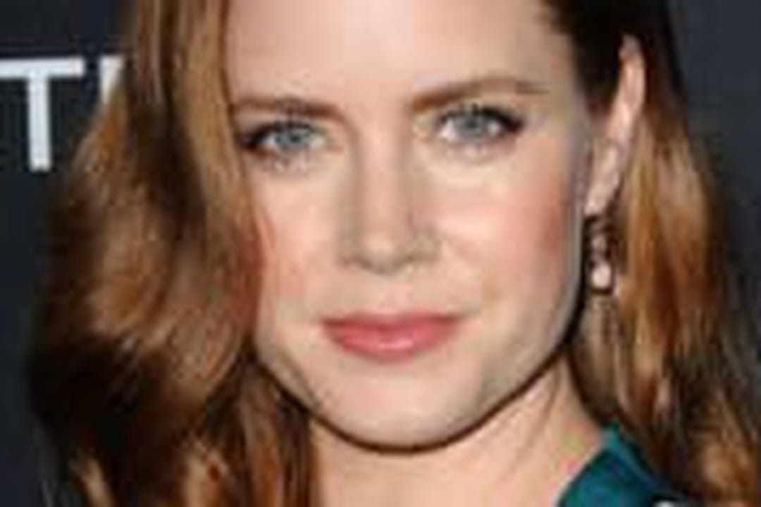 Le roux cendré d'Amy Adams