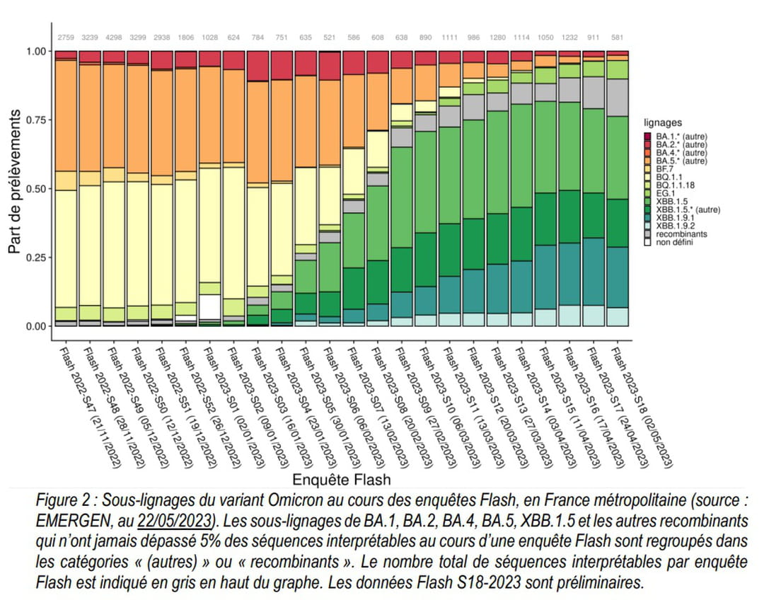 Variant Covid XBB (1.5) : symptômes, majoritaire en France