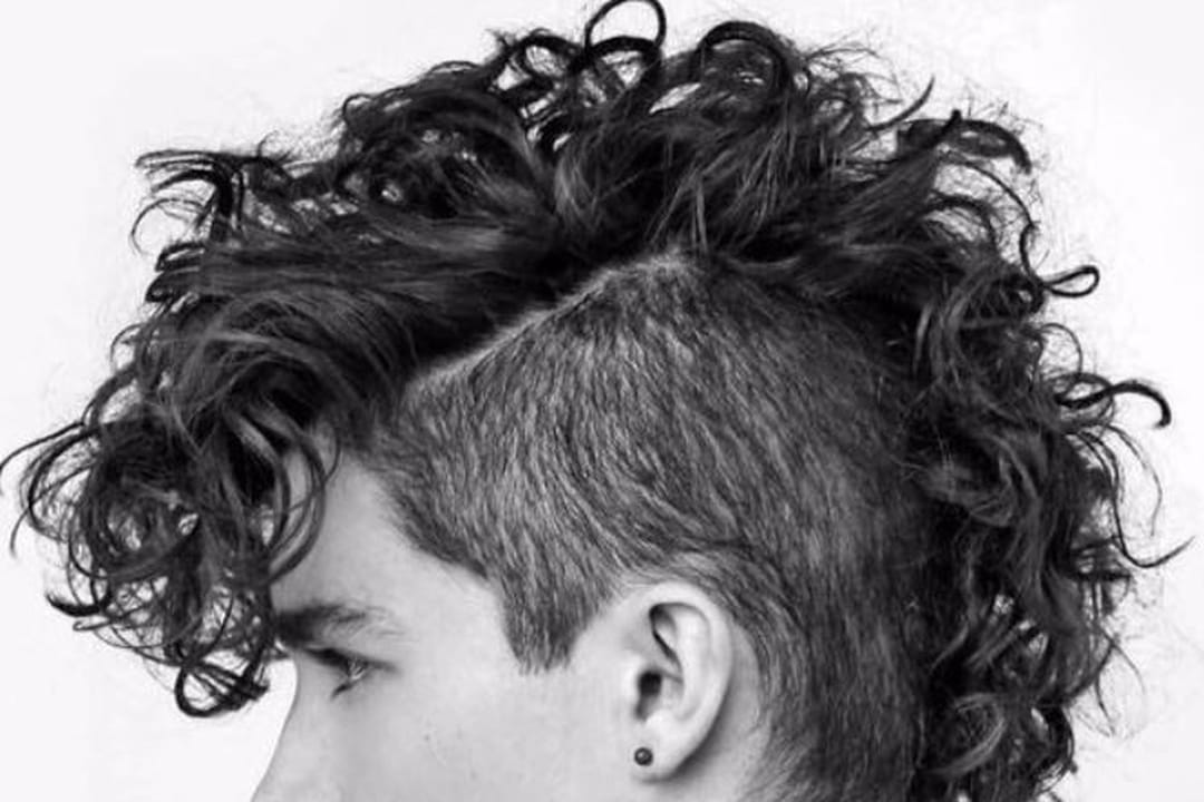 Crête de cheveux bouclés