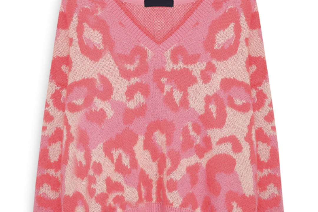 Pull léopard de Primark