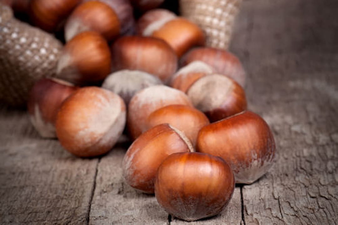 10 000 tonnes de noisettes produites en France