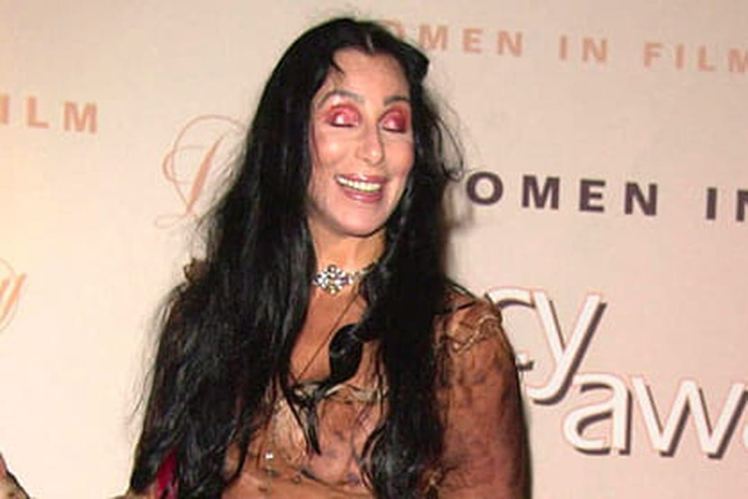 Cher en pantalon pailletté et top en mesh