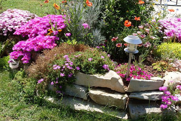 Une rocaille pleine de charme