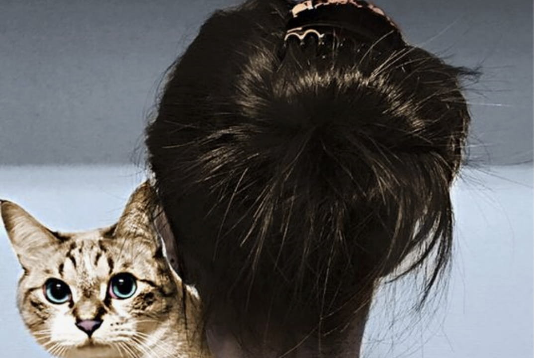 Les 20 plus beaux tatouages de chat