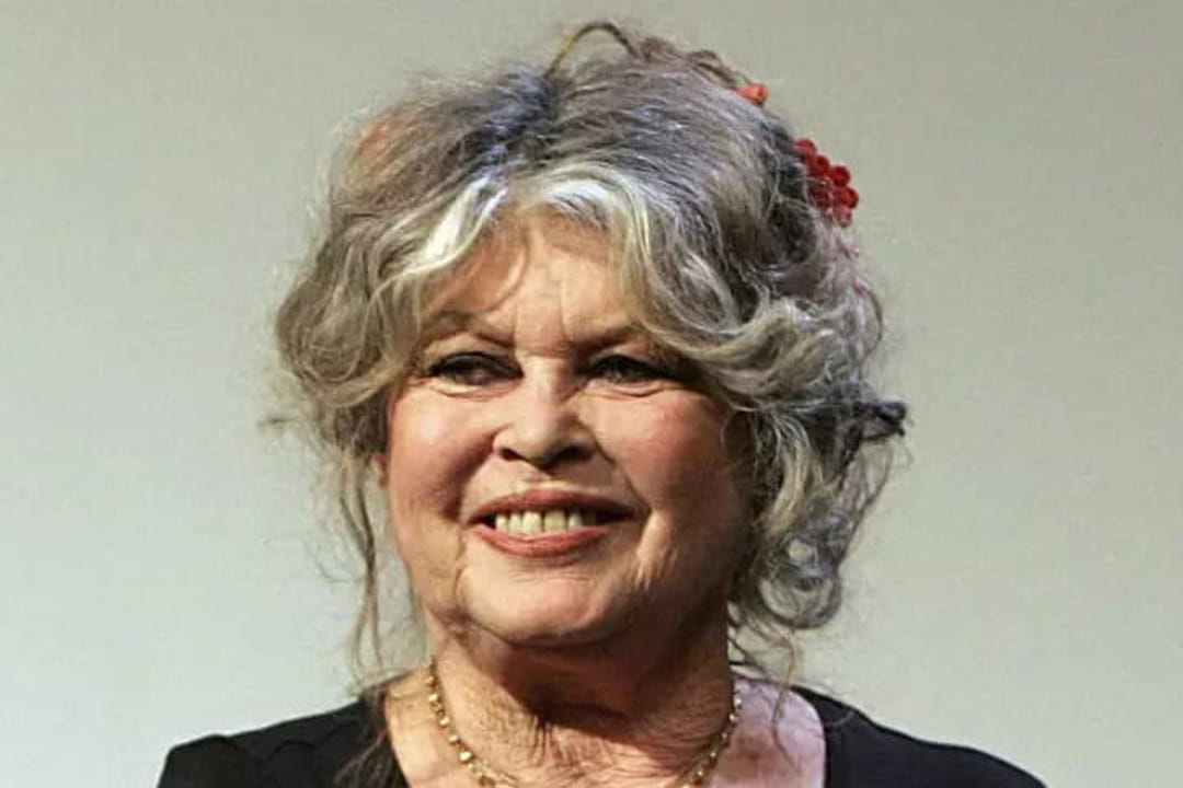 Brigitte Bardot tacle l'entourage d'Alain Delon : "il est très très mal ...