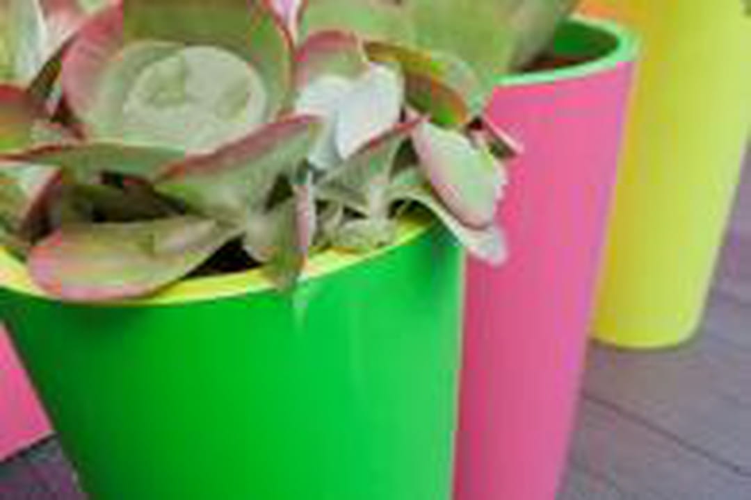 Pot Tuit de Castorama