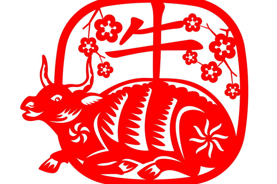 Compatibilité du Buffle avec les autres signes chinois