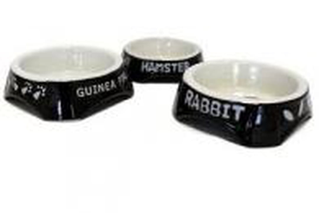 Des écuelles très classes