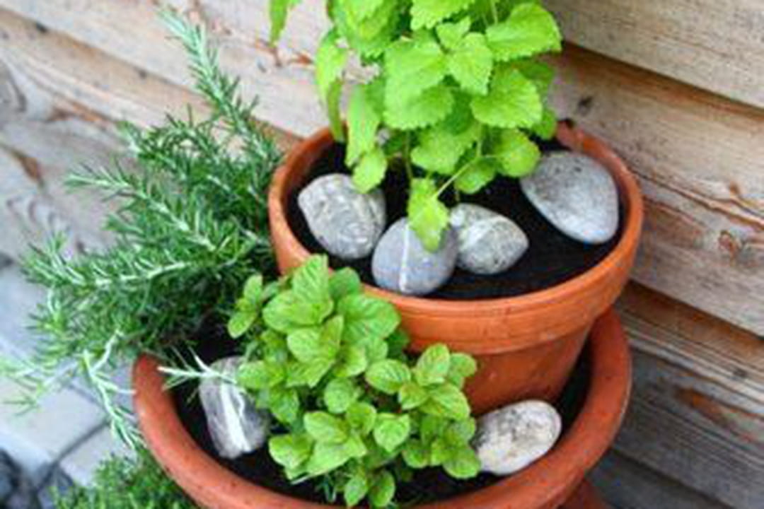 Des pots gain de place