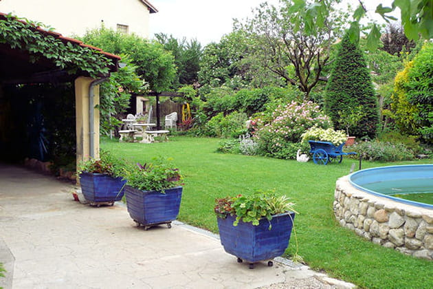 Un jardin vert et bleu