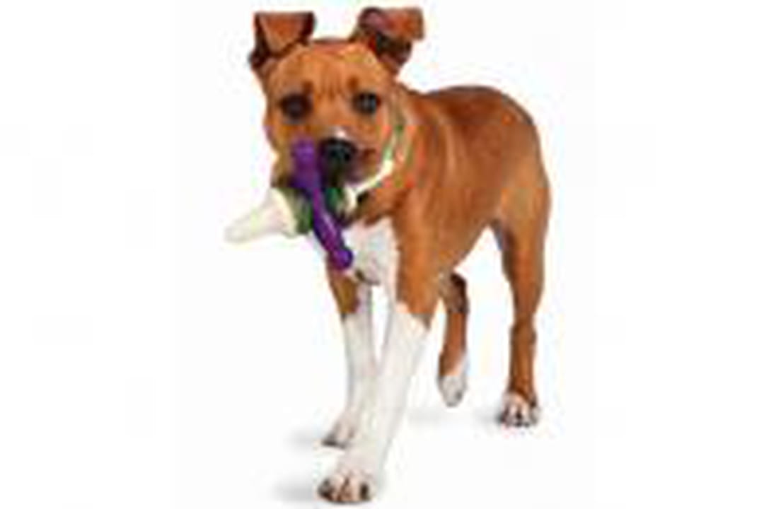 Jouet Busy Buddy Jack?PetSafe