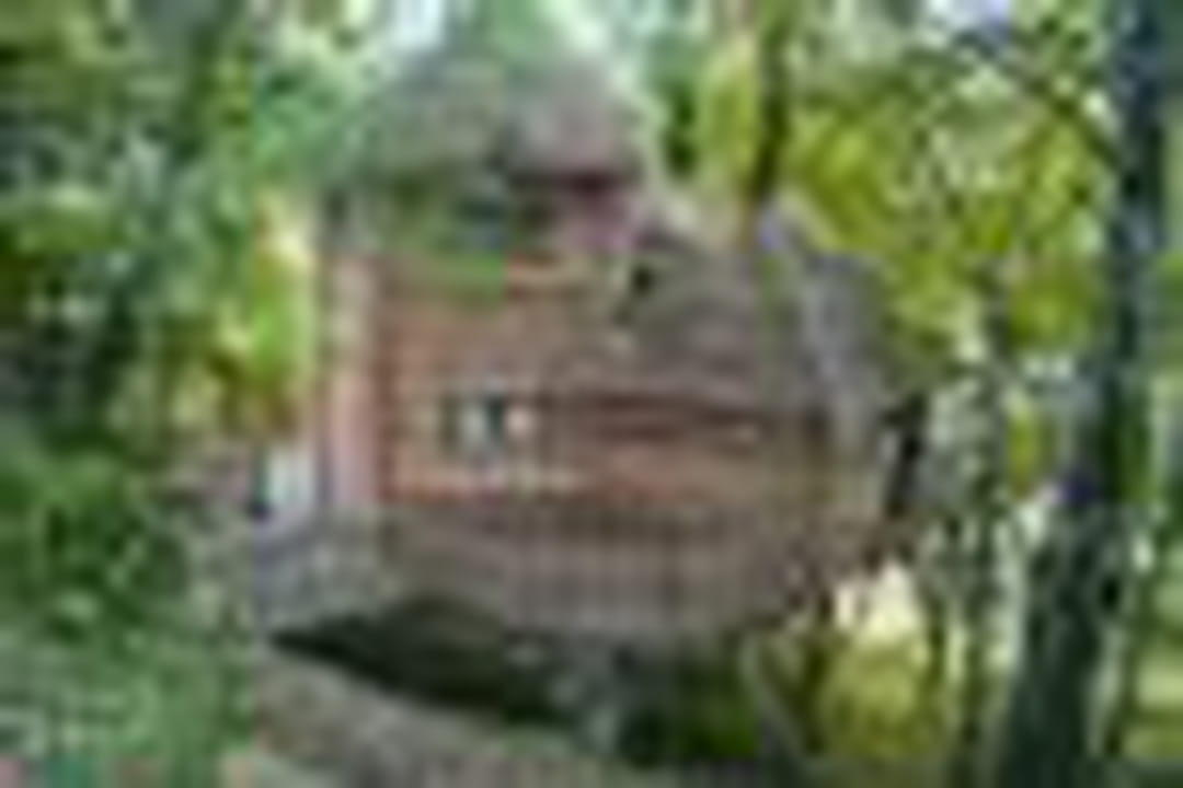 Vraie maison