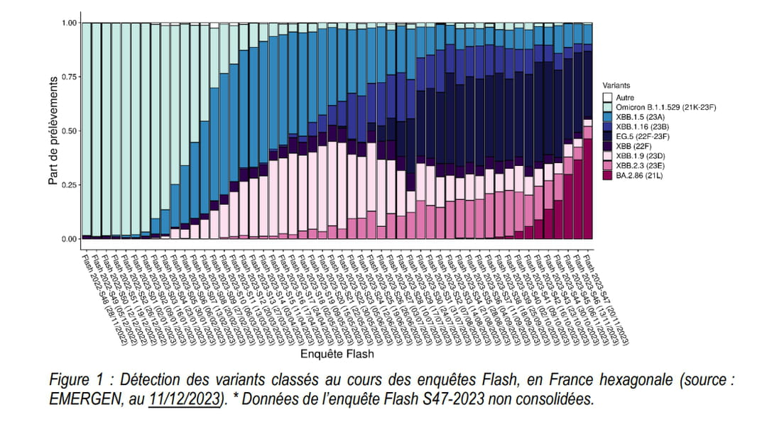 Variant Covid JN.1 : 52% en France, symptômes fréquents